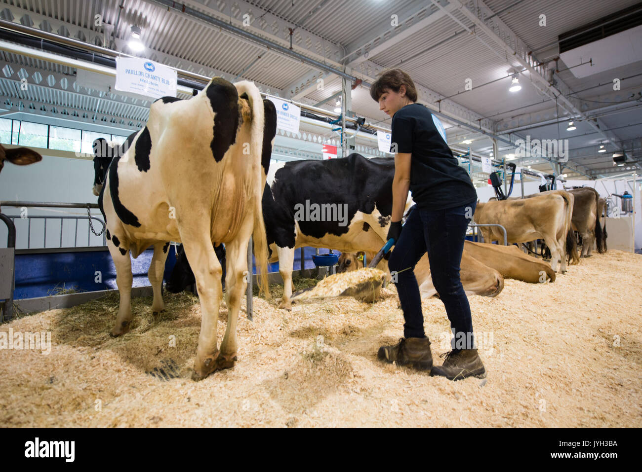 Canadian dairy farm hi-res stock photography and images - Alamy