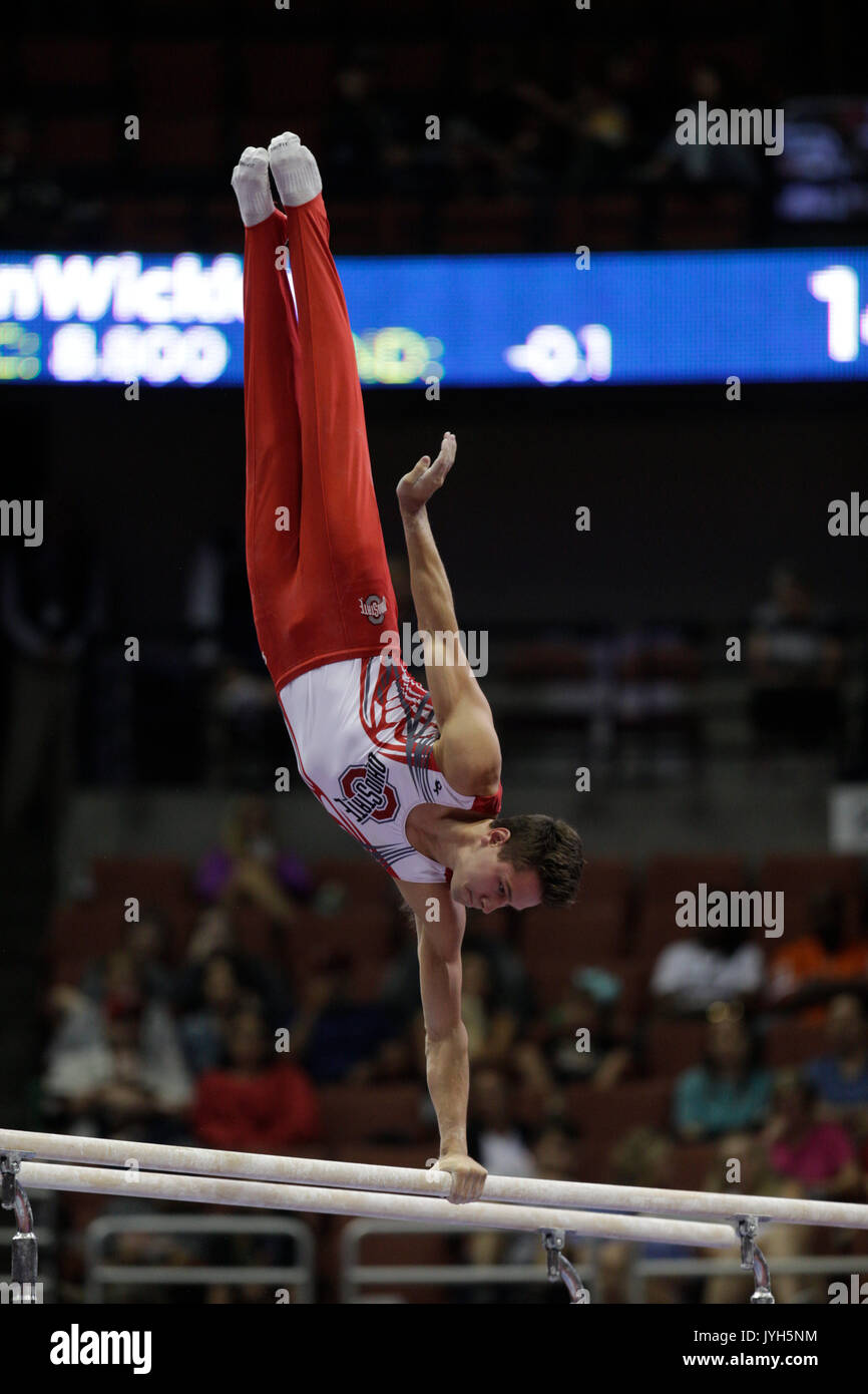 Anaheim, California, USA. 19th Aug, 2017. Gymnast Alex Yoder competes ...