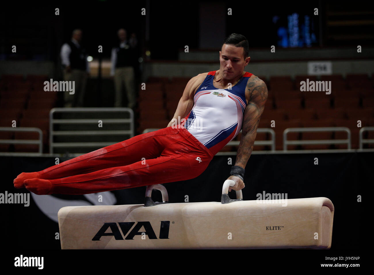Anaheim, California, USA. 19th Aug, 2017. Gymnast Alex Naddour competes ...