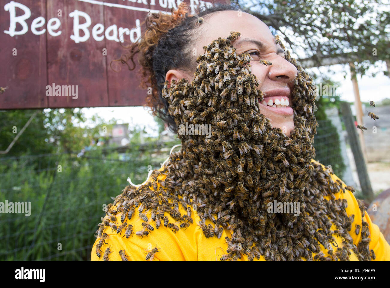 Toronto, Canada. 19th Aug, 2017. A woman covers her face with bees ...