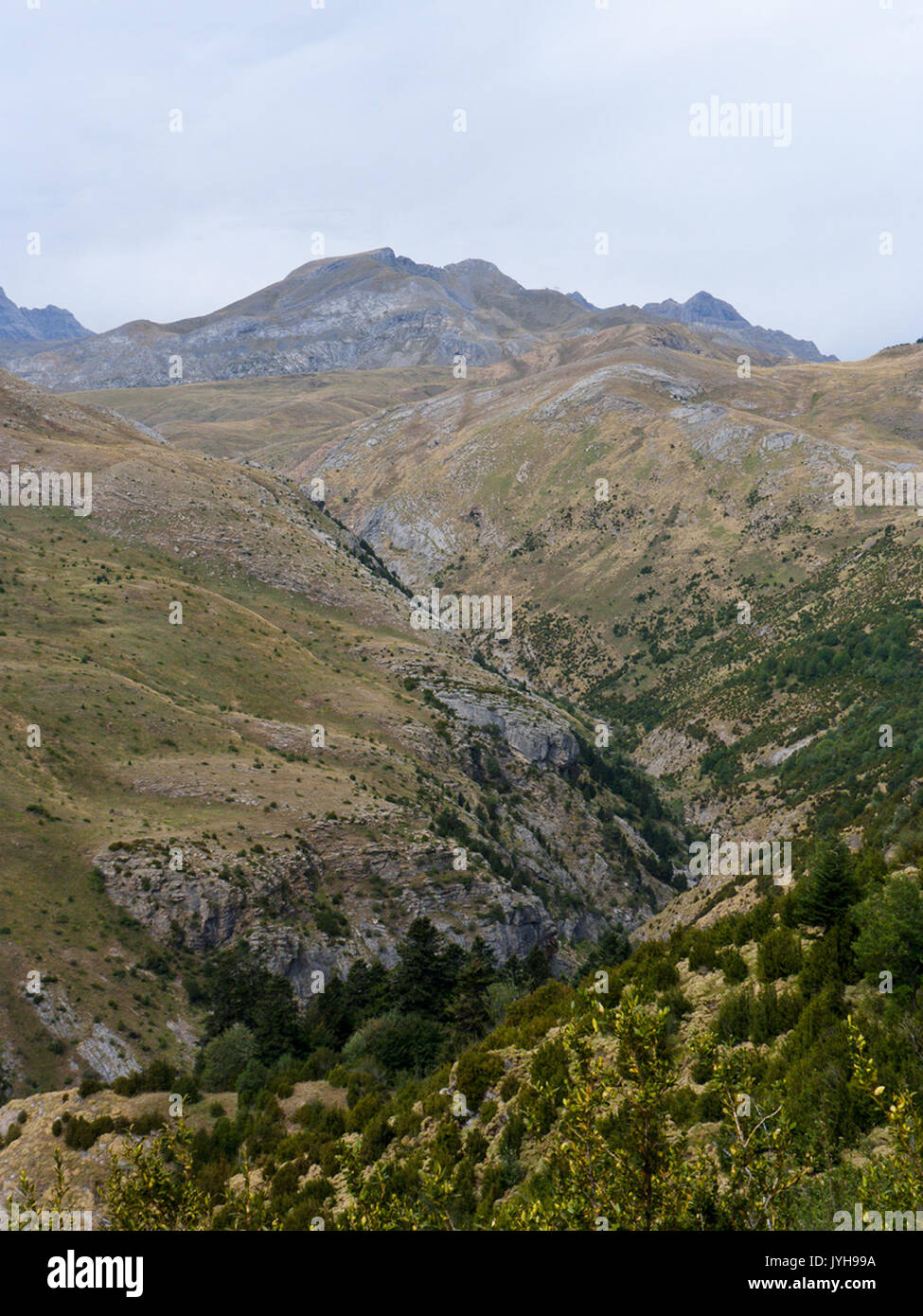 Wle design hi-res stock photography and images - Alamy