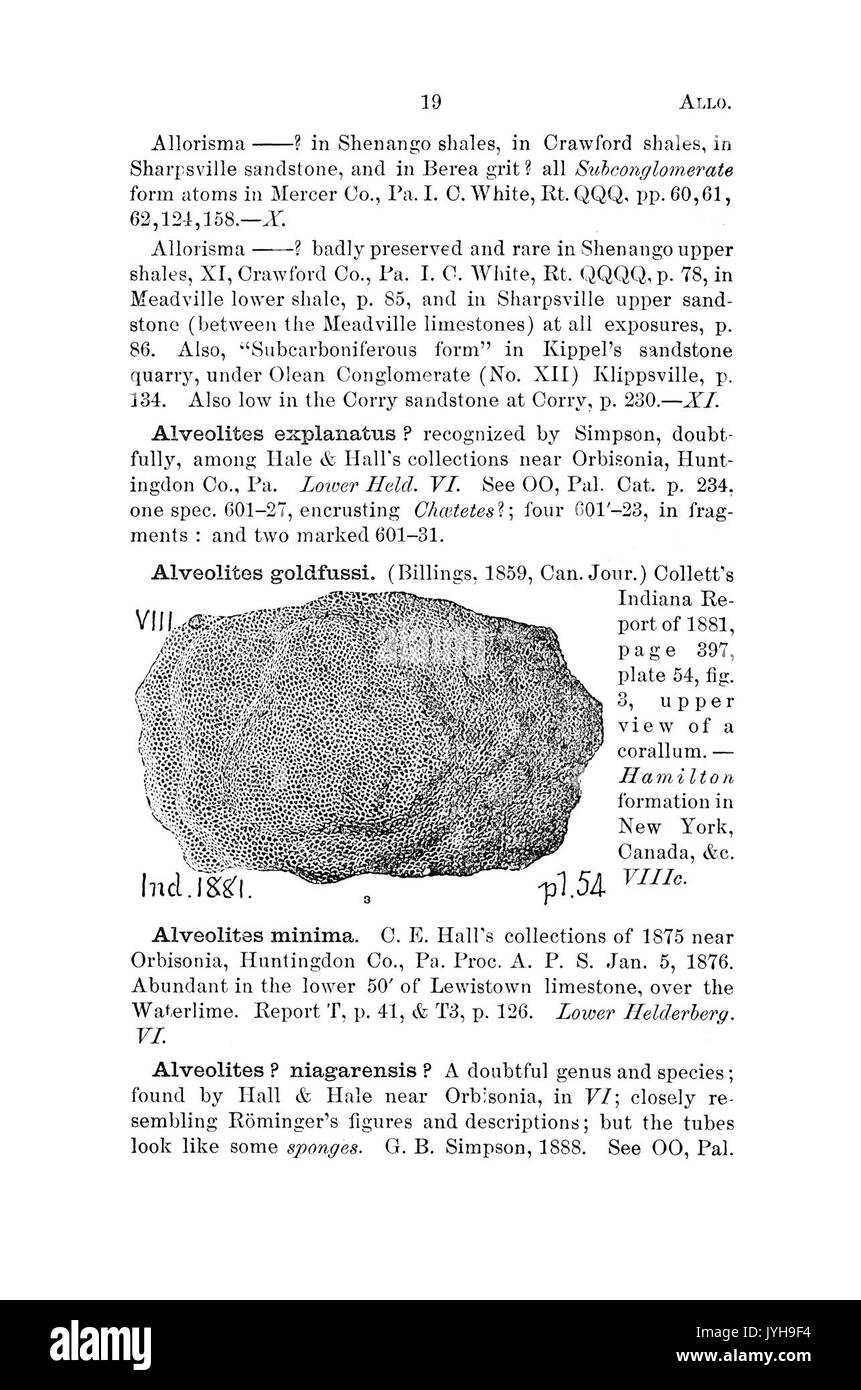 Fossils map Cut Out Stock Images & Pictures - Alamy