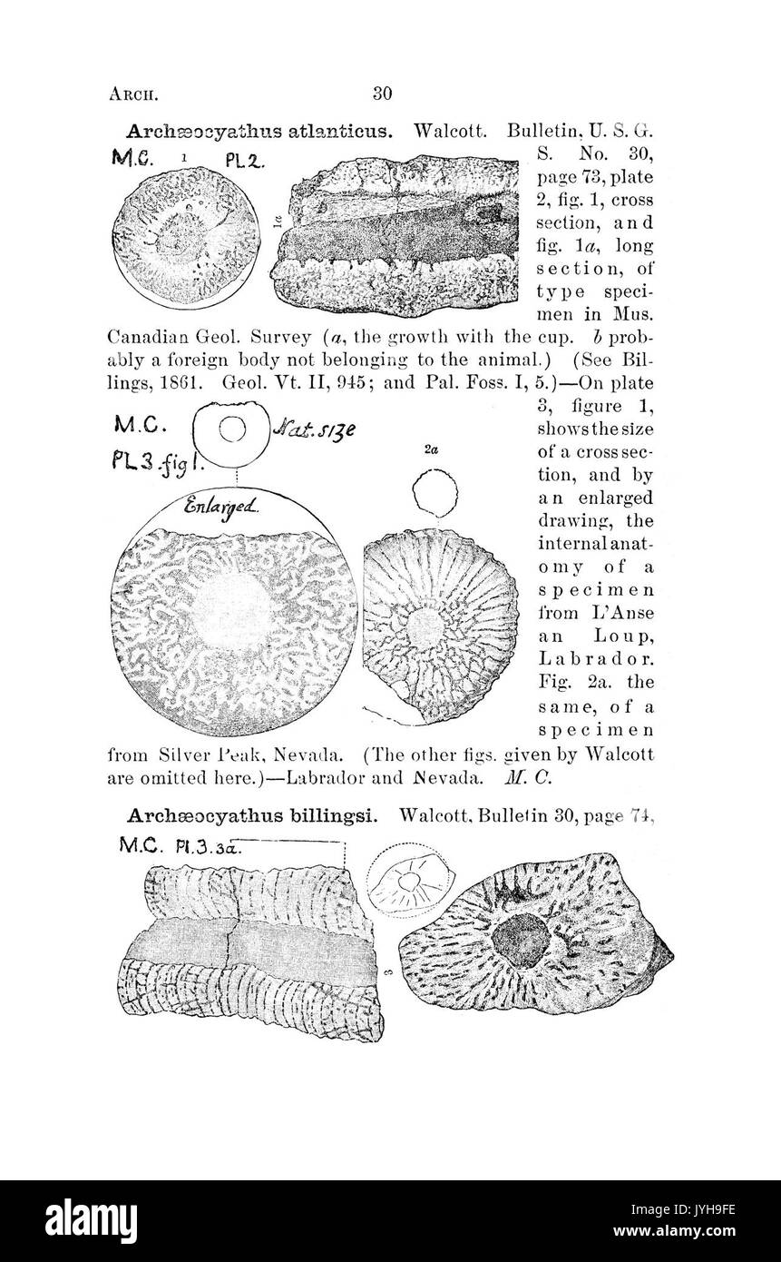 A dictionary of the fossils of Pennsylvania and neighboring states ...