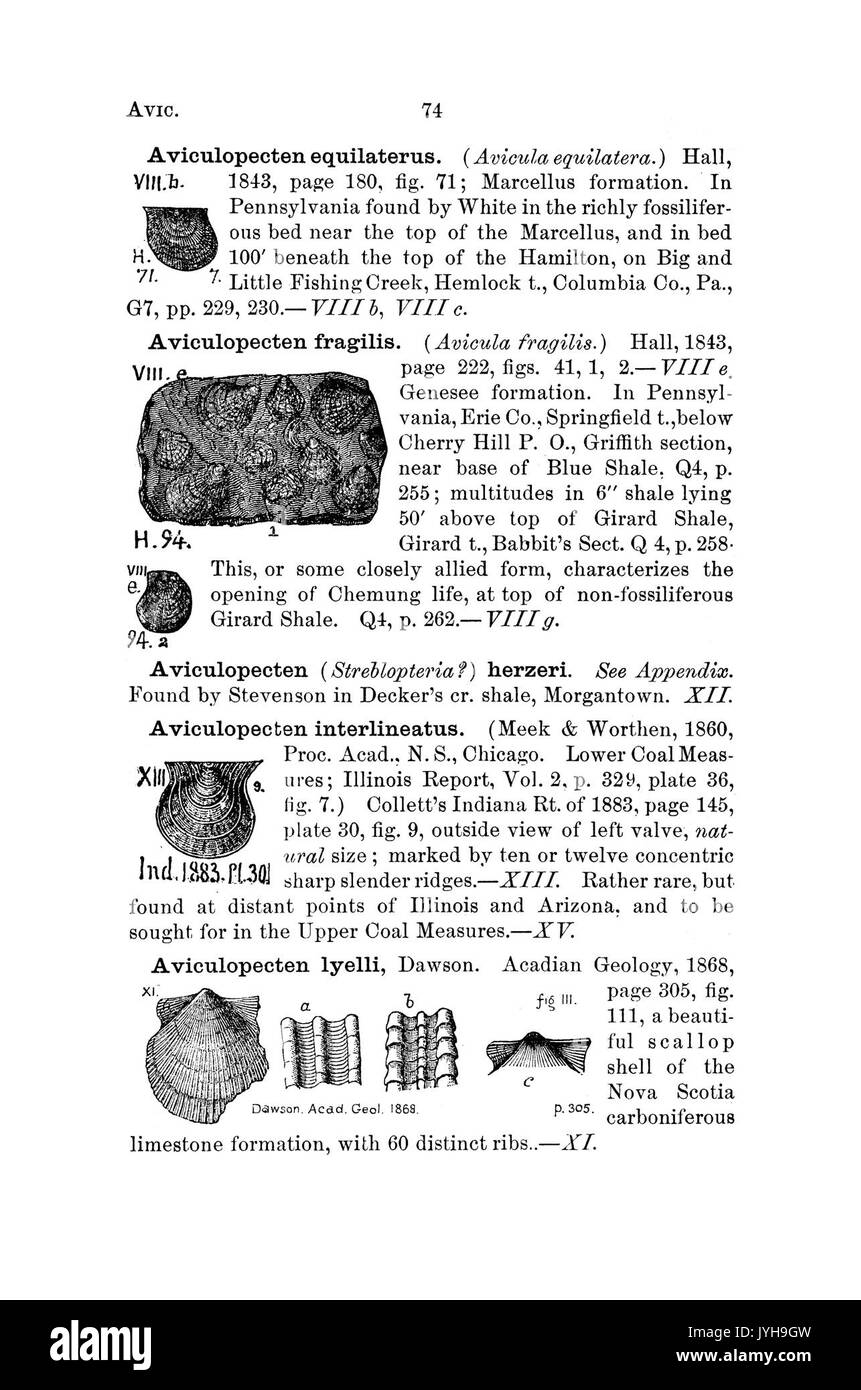 A dictionary of the fossils of Pennsylvania and neighboring states ...