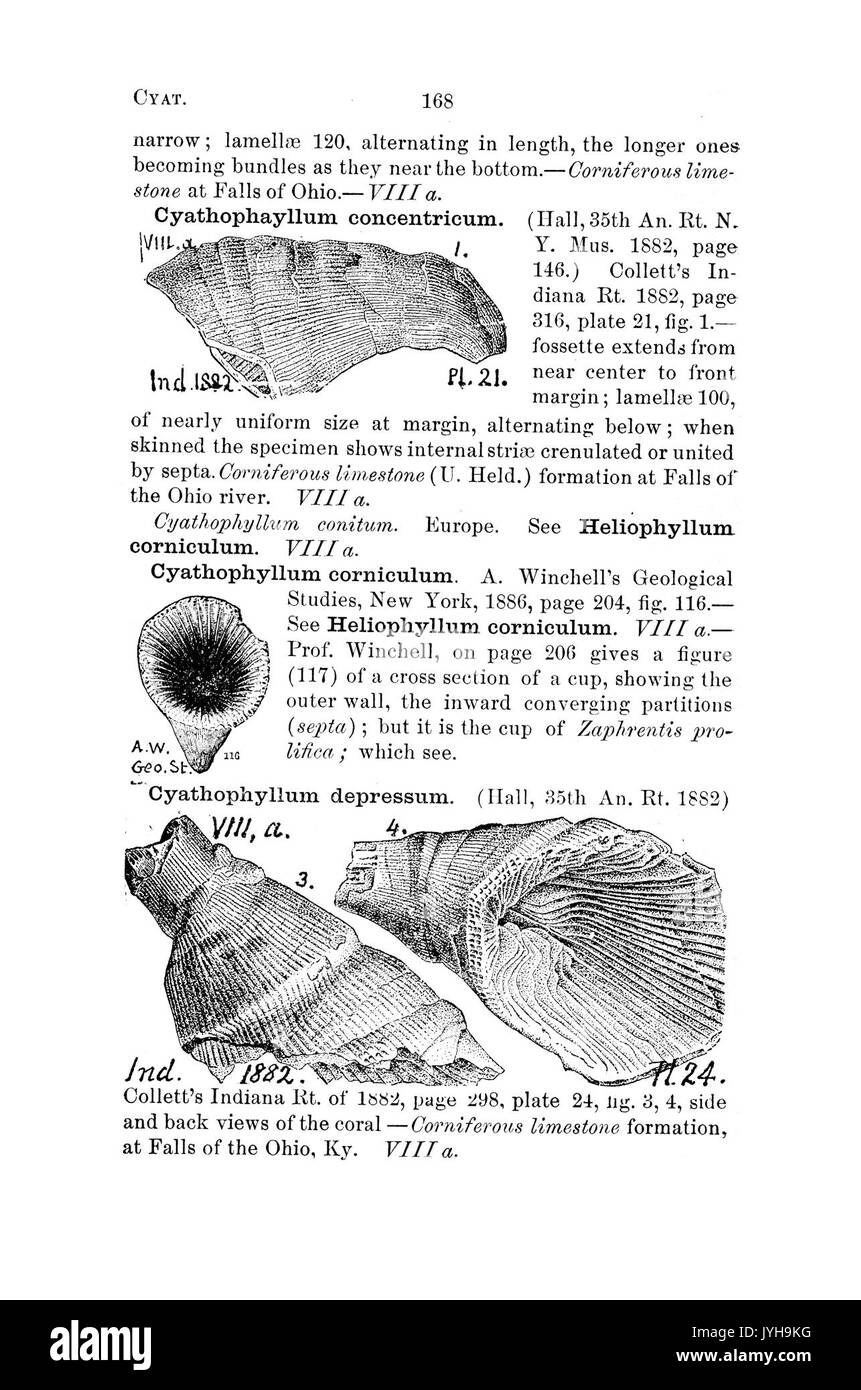 A dictionary of the fossils of Pennsylvania and neighboring states ...