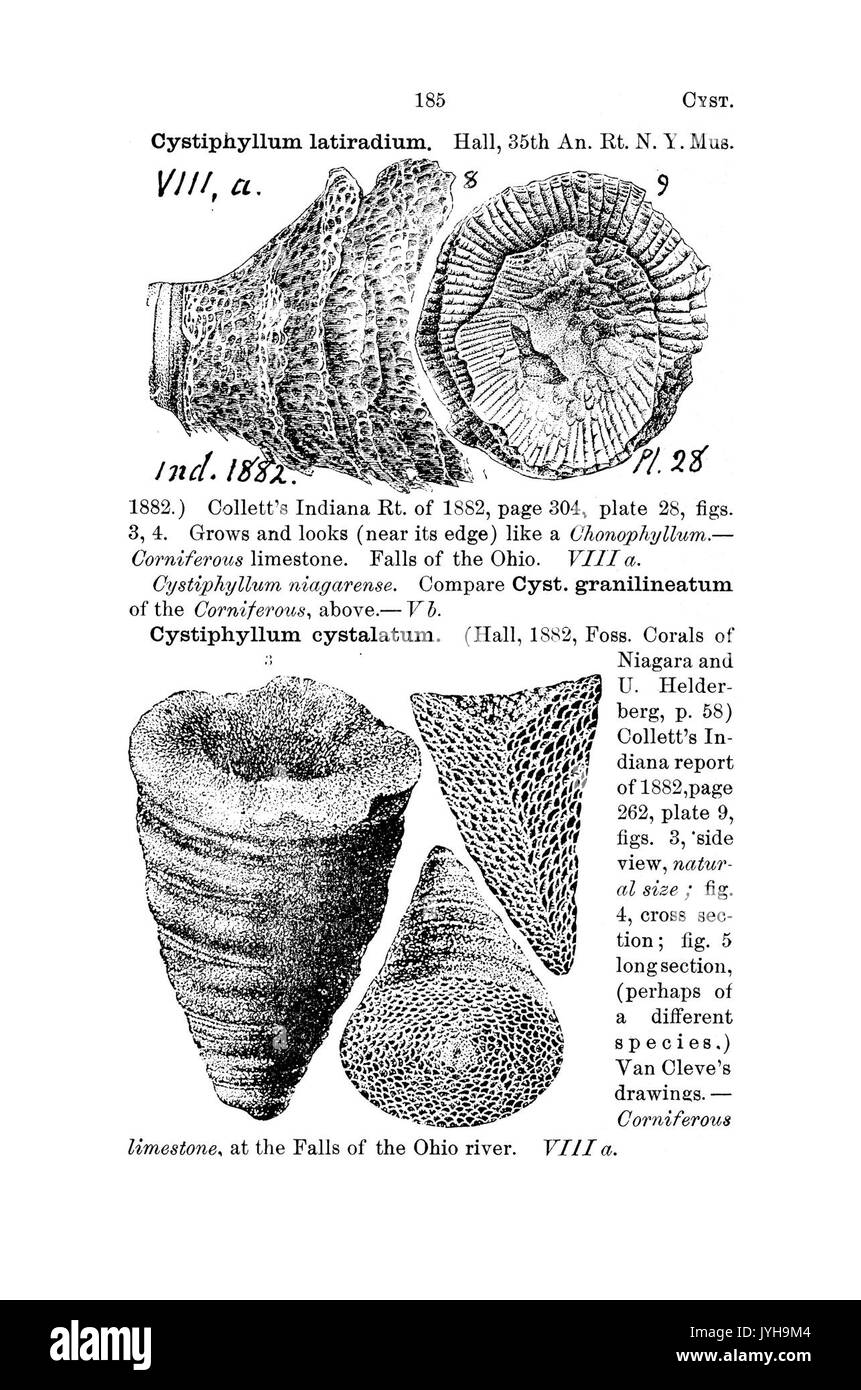 A dictionary of the fossils of Pennsylvania and neighboring states ...
