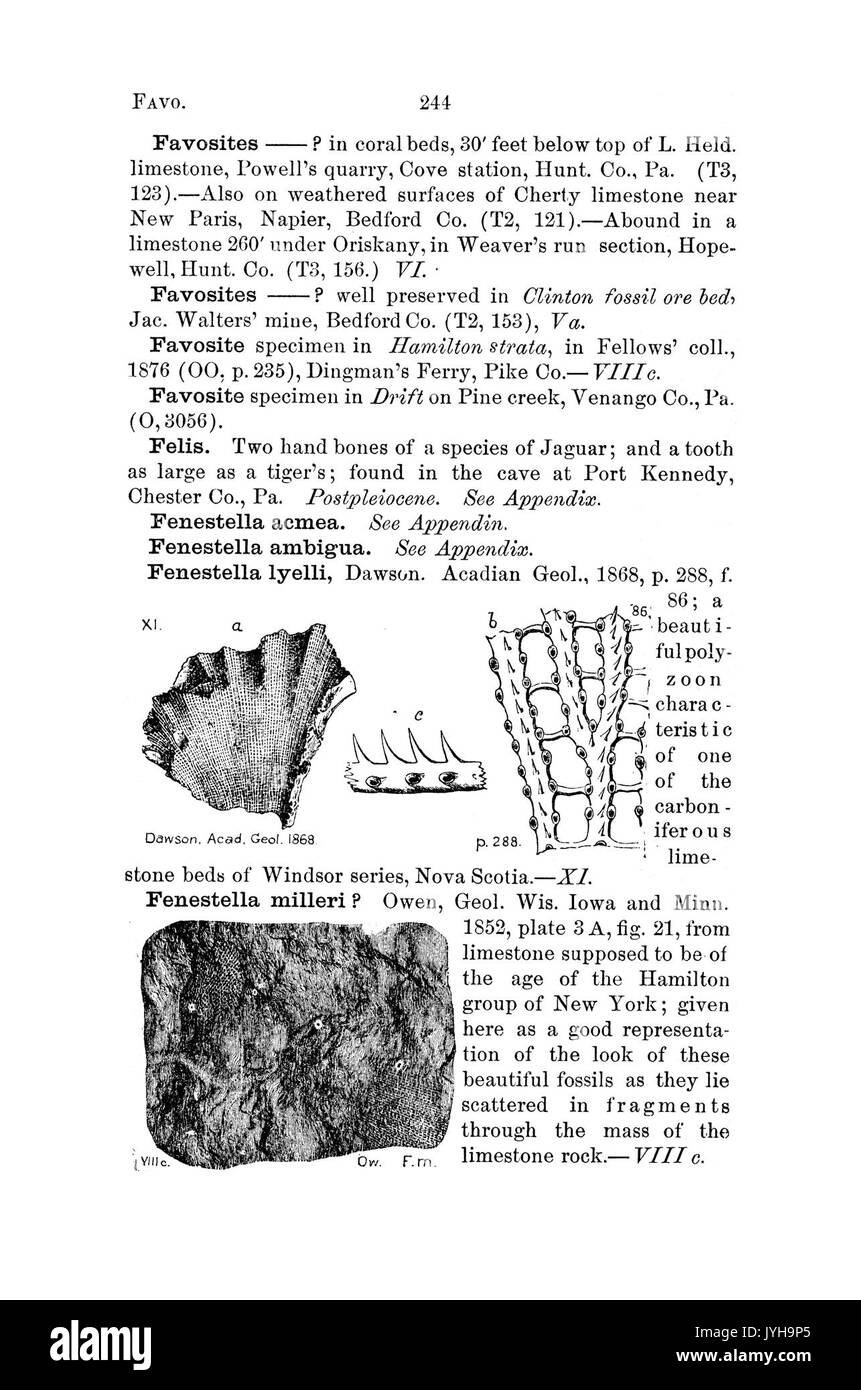 A dictionary of the fossils of Pennsylvania and neighboring states ...