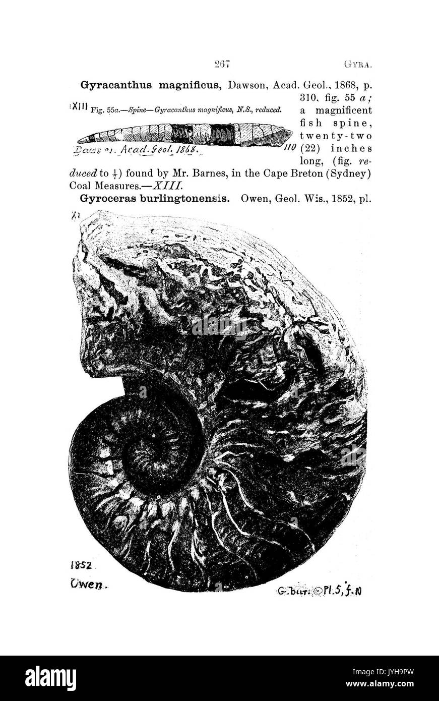 A dictionary of the fossils of Pennsylvania and neighboring states ...