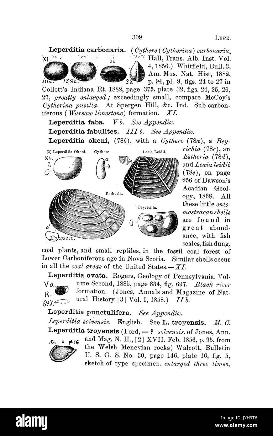 A dictionary of the fossils of Pennsylvania and neighboring states ...