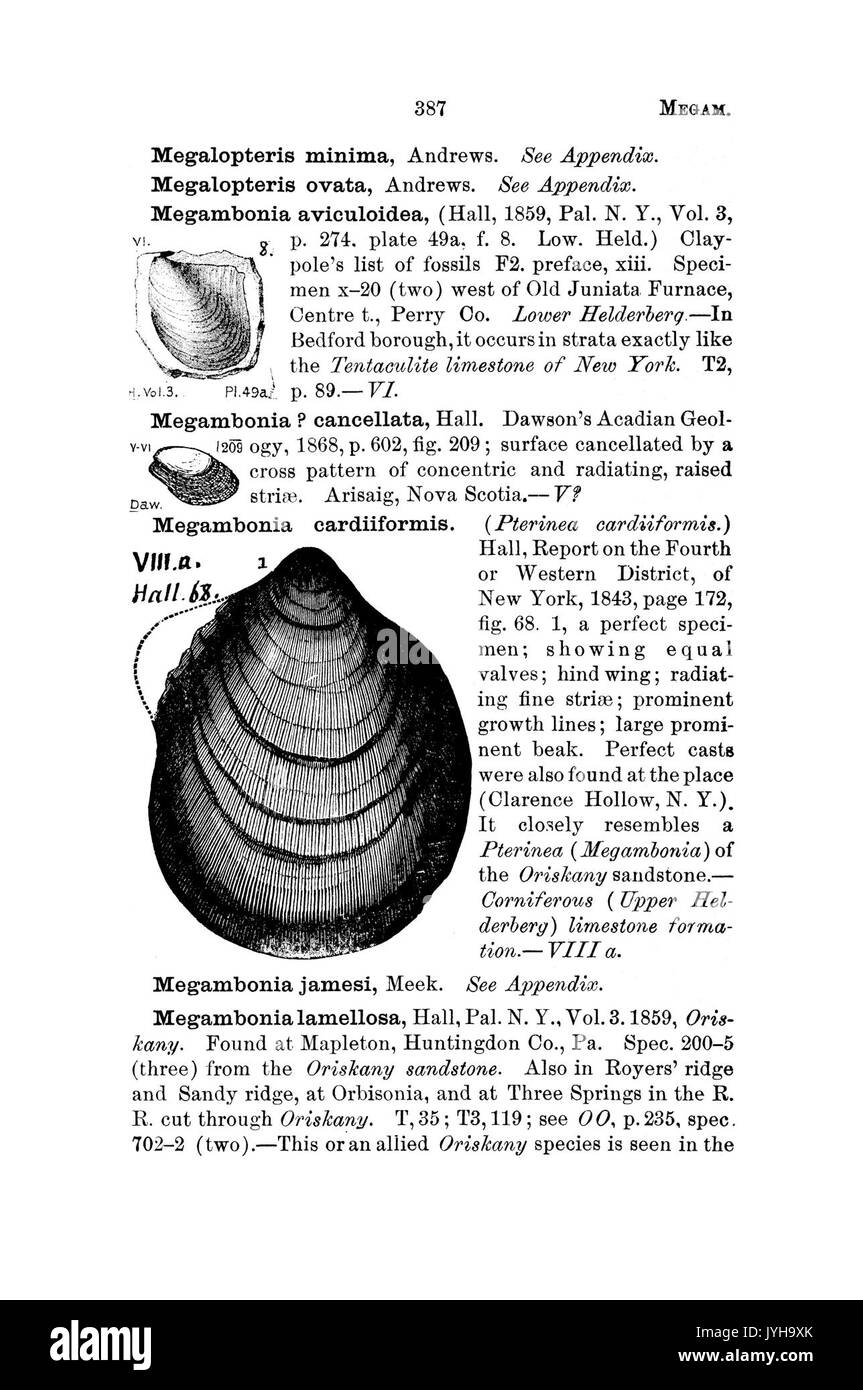 A dictionary of the fossils of Pennsylvania and neighboring states ...