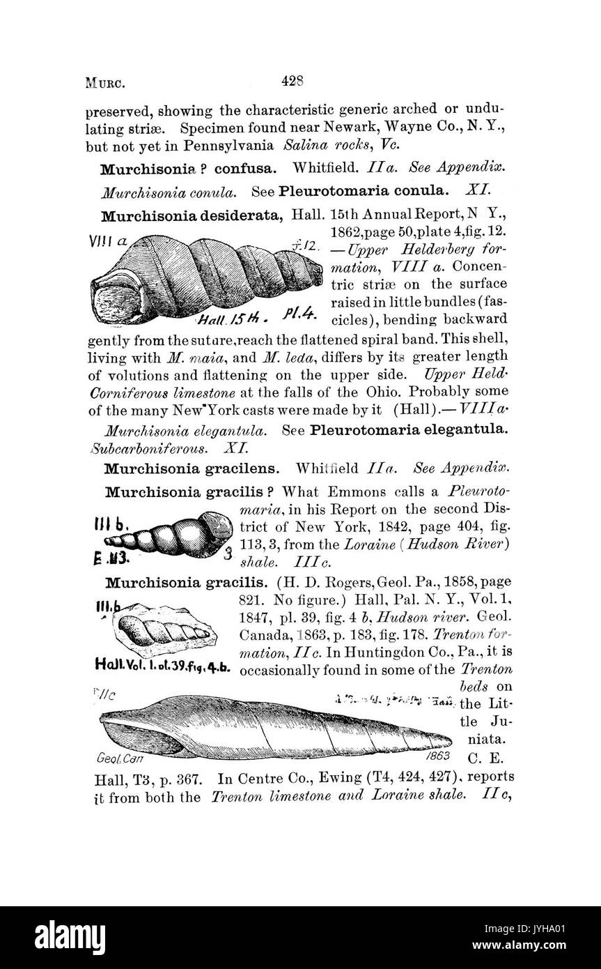 A dictionary of the fossils of Pennsylvania and neighboring states ...
