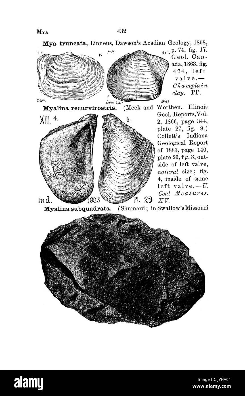 A dictionary of the fossils of Pennsylvania and neighboring states ...