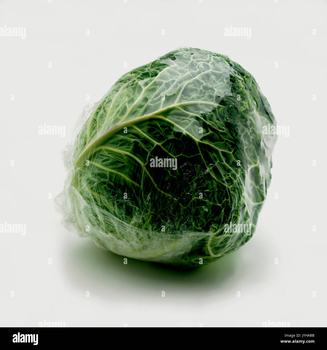 Savoy Cabbage Wrapped in Plastic on White Background Stock Photo - Alamy