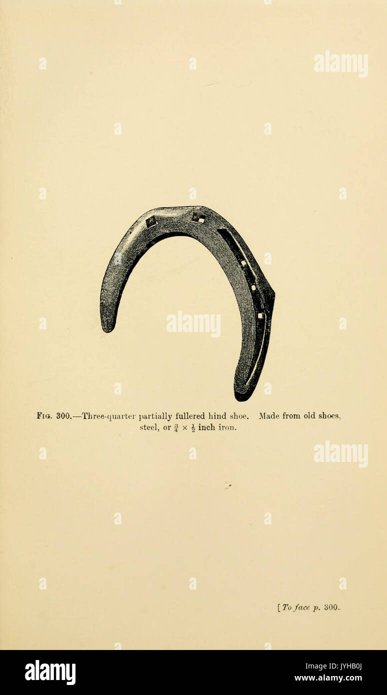 Shoeing technique guide hi-res stock photography and images - Alamy
