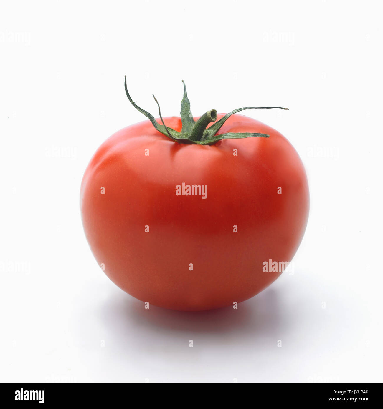 Single Red Tomato on White Background Stock Photo - Alamy