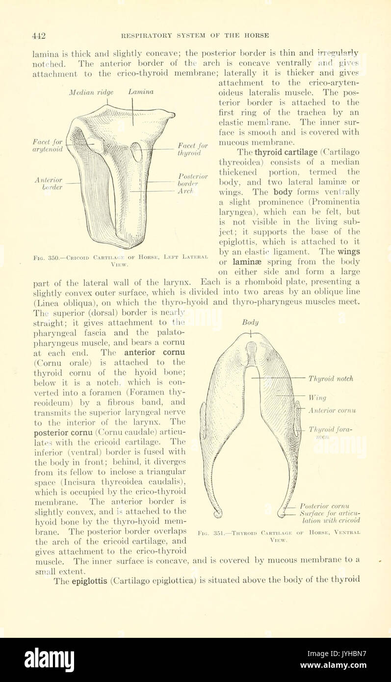 Text book anatomy physiology hi-res stock photography and images - Alamy