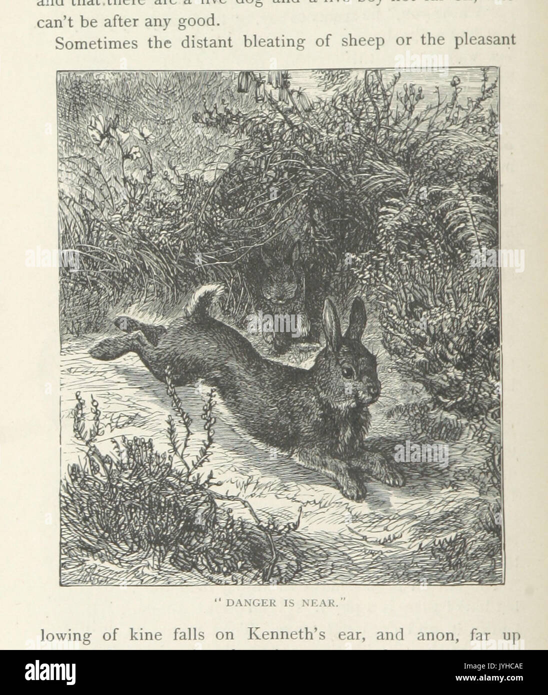 Kenneth McAlpine a tale of mountain, moorland, and sea Stock Photo - Alamy