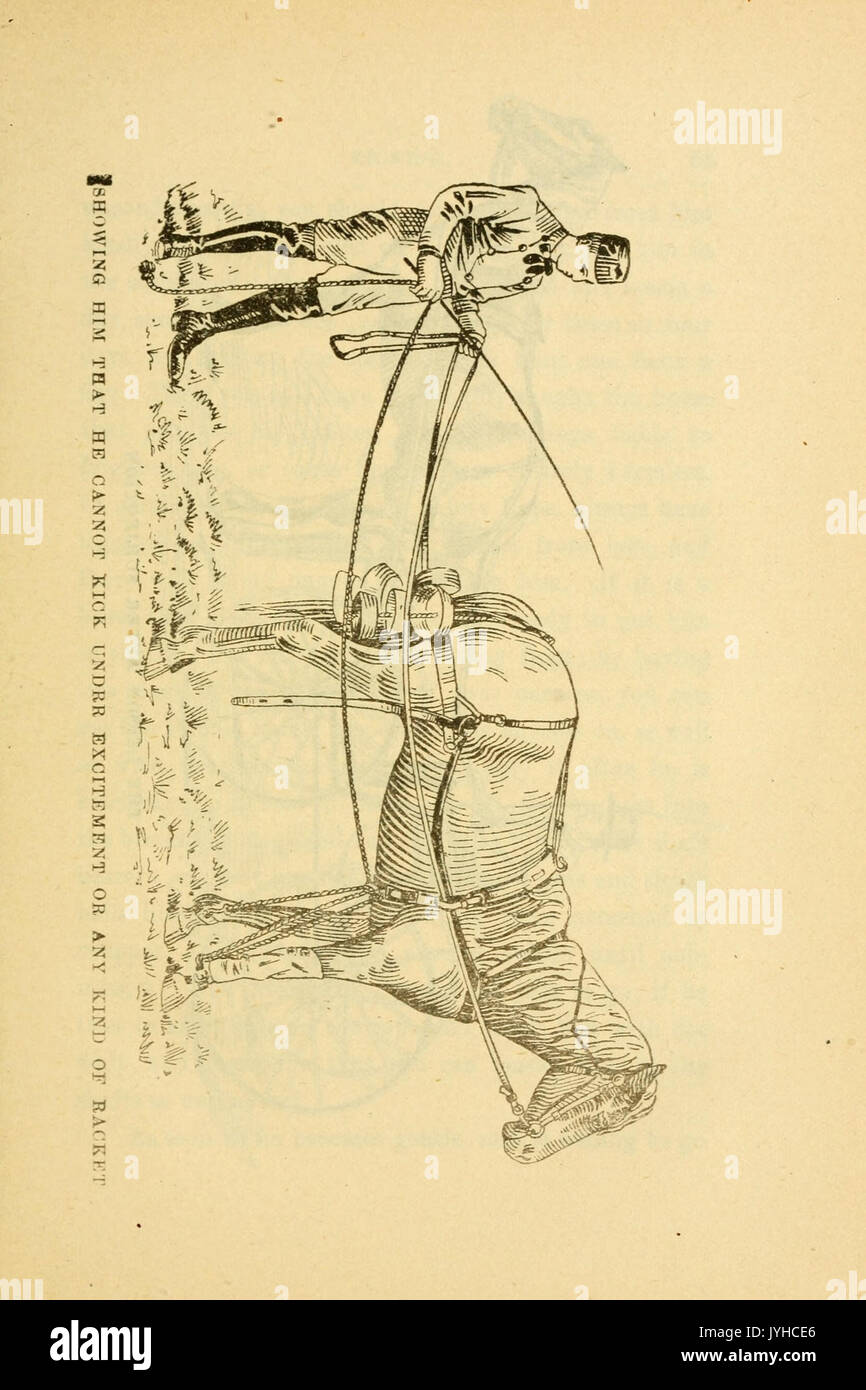 A practical system of colt training (Page 53) BHL20321622 Stock Photo ...