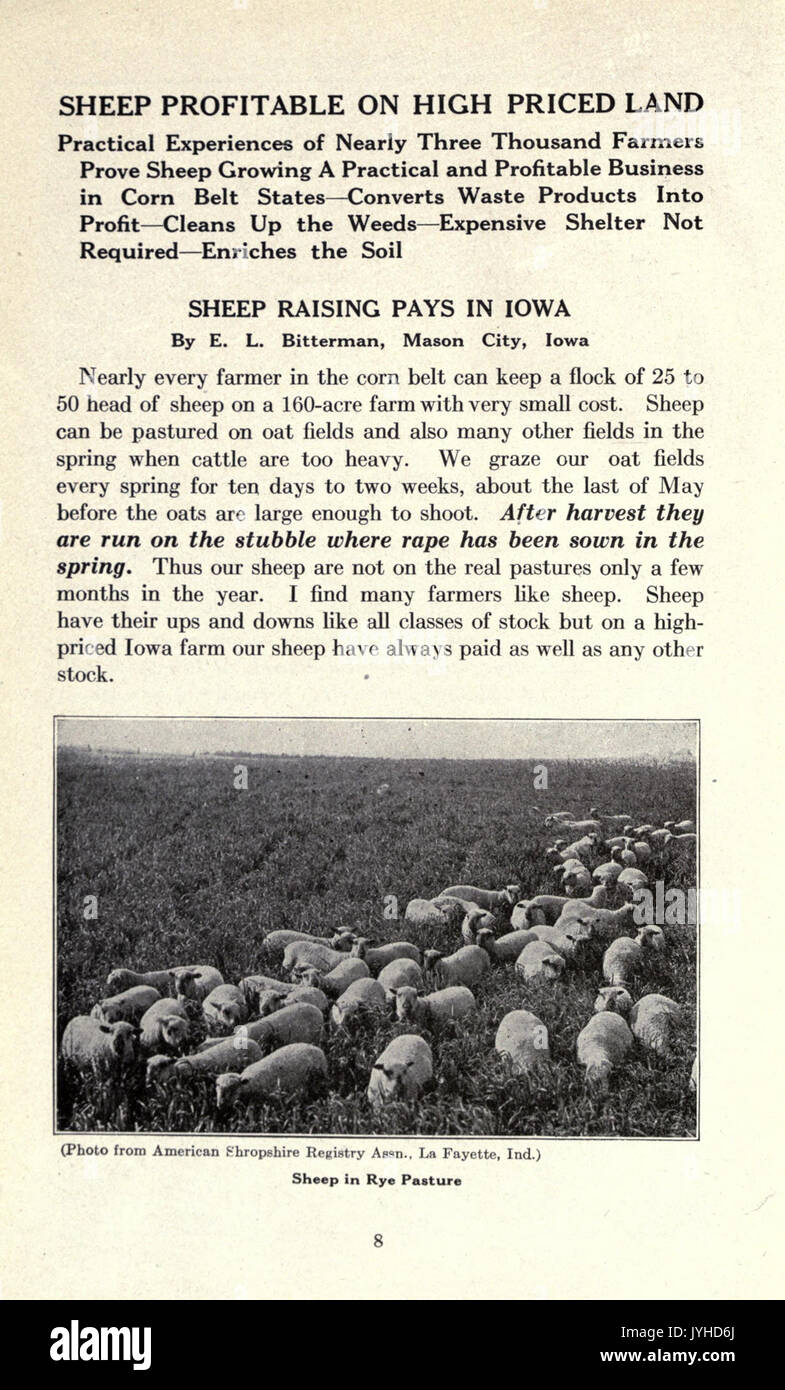 A bunch of sheep on every farm (Page 8) BHL18024632 Stock Photo - Alamy