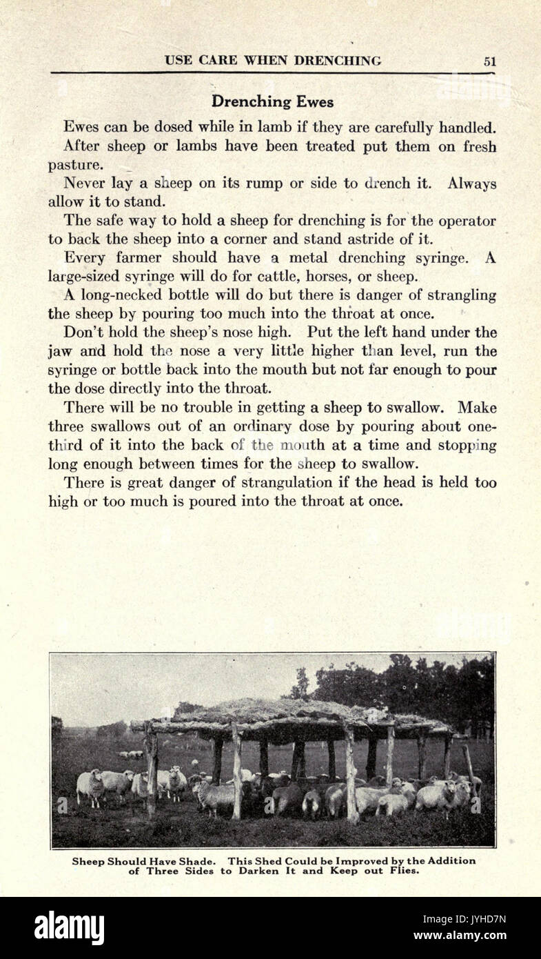 A bunch of sheep on every farm (Page 51) BHL18024650 Stock Photo - Alamy