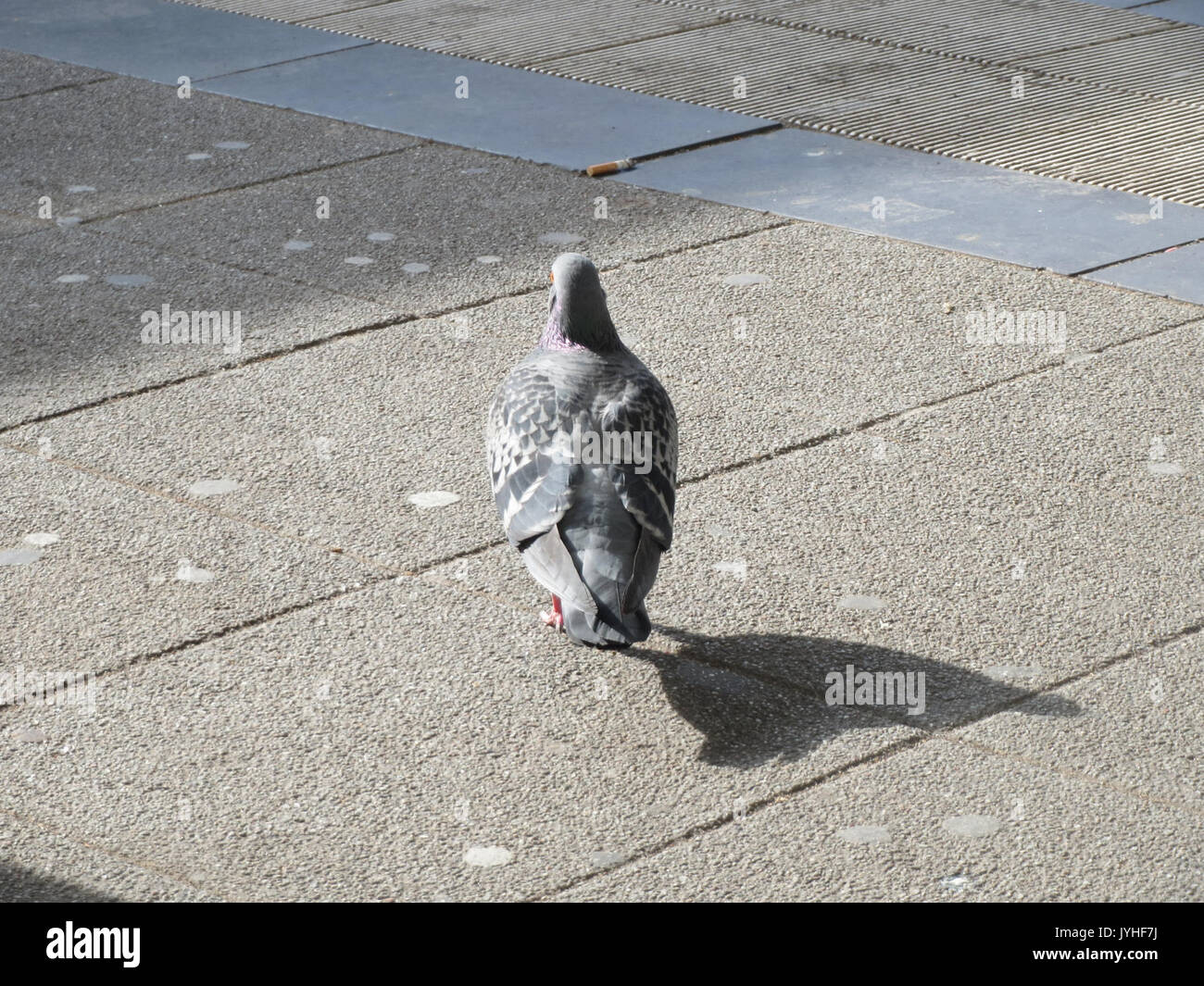 This image captures the Mannheim Hauptbahnhof, a major railway station in Mannheim, Germany ...
