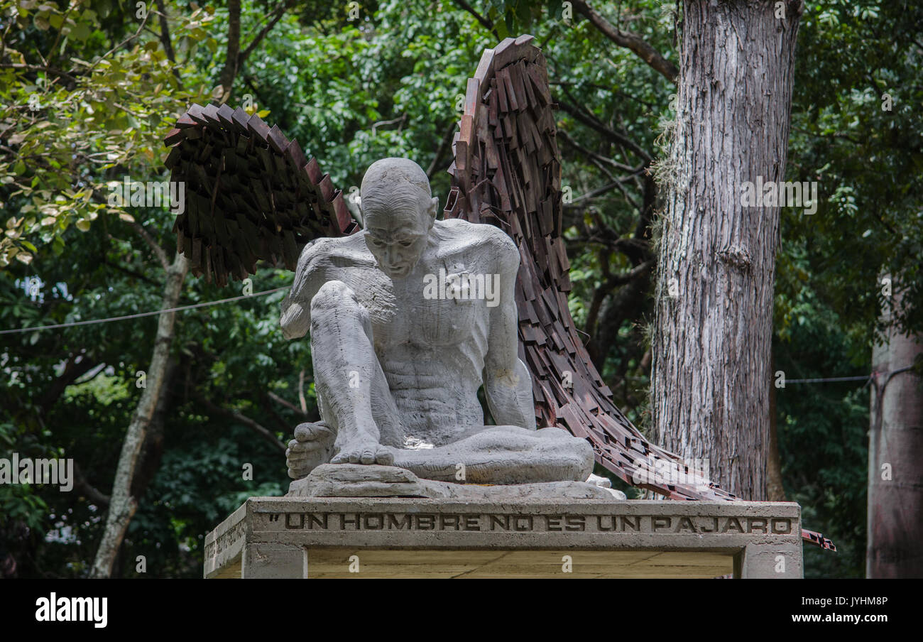 A man is not a bird Stock Photo - Alamy