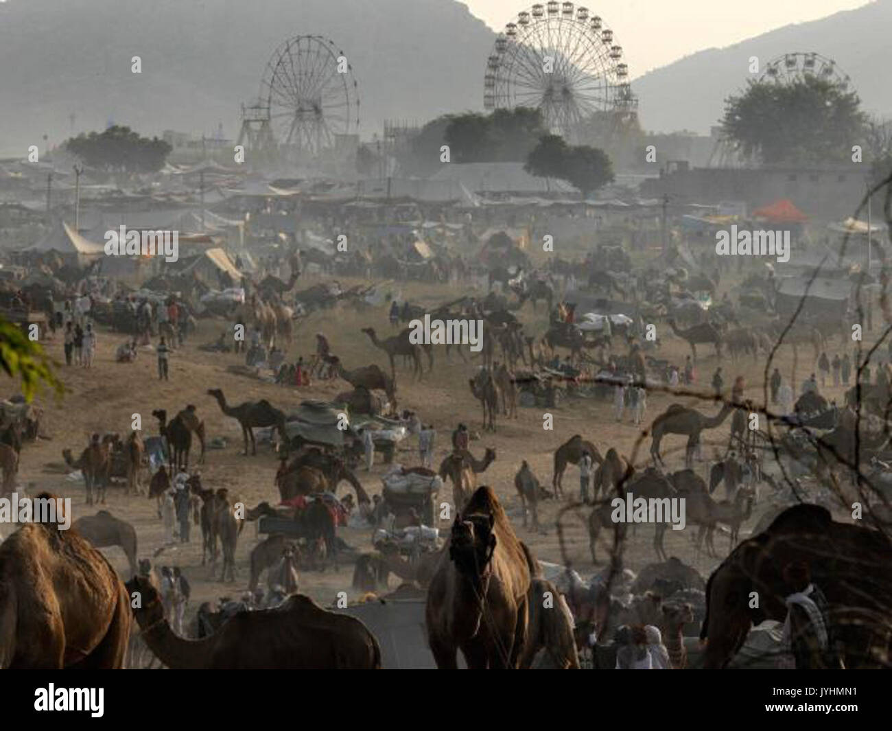 A scene of Sonepur Cattle Fair Stock Photo - Alamy
