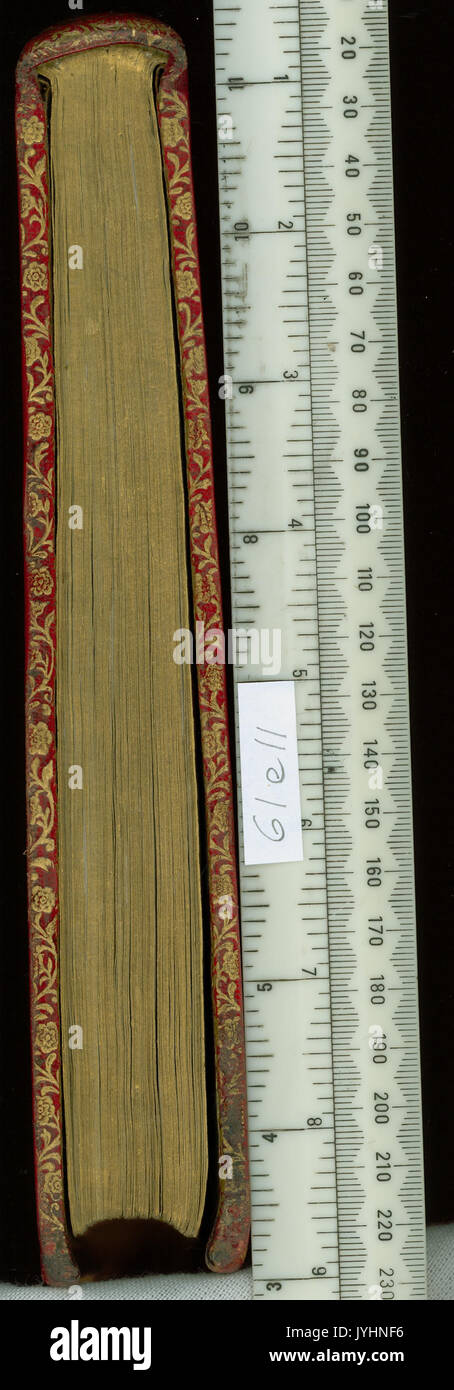 Lower edge hi-res stock photography and images - Alamy