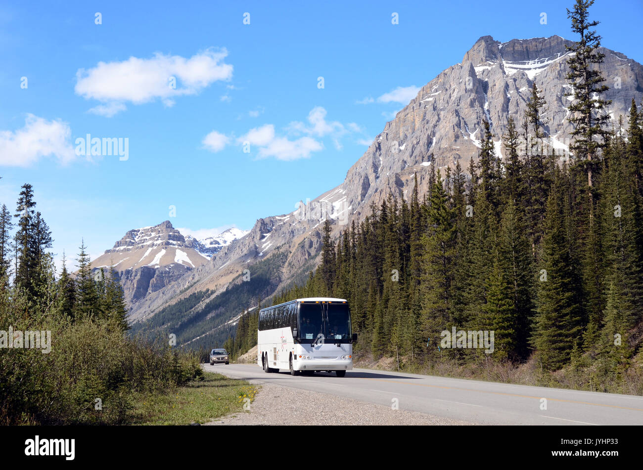 Tour bus in Jasper National Park, Canada Stock Photo - Alamy