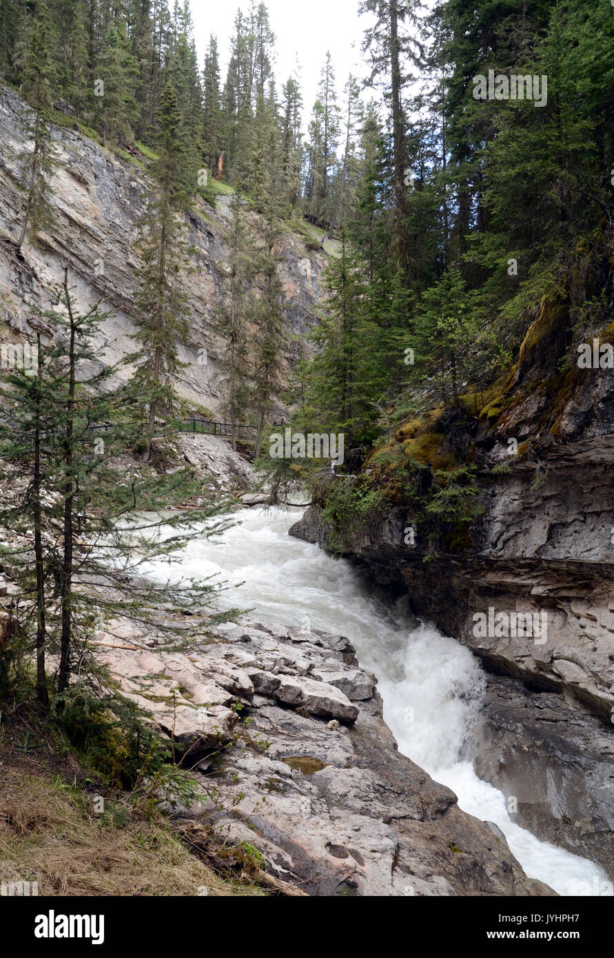 Gorge in the Rocky Mountains, Banff National Park Stock Photo - Alamy