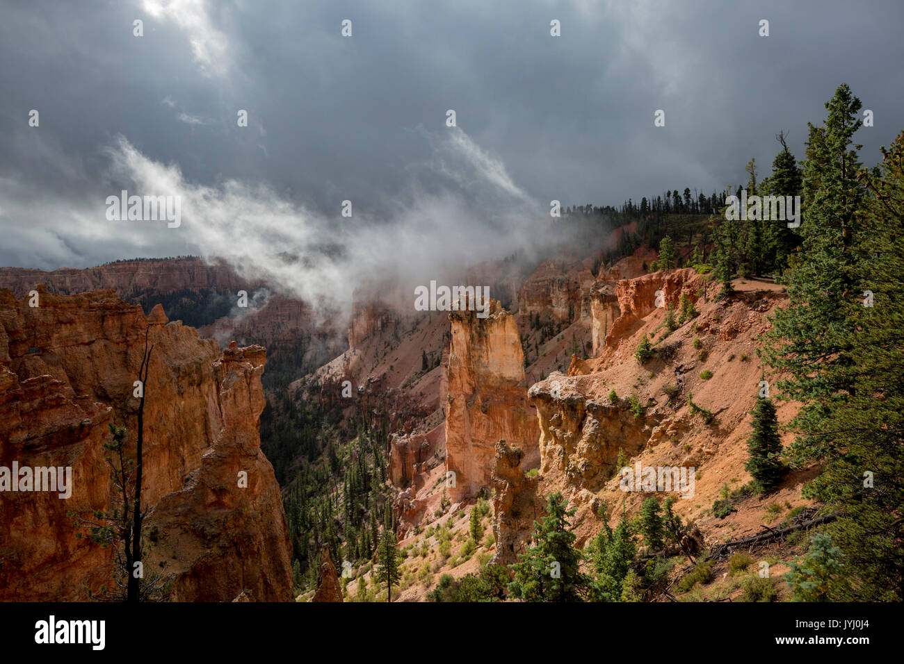 Black Birch Canyon. Bryce Canyon National Park, Garfield County, Utah ...