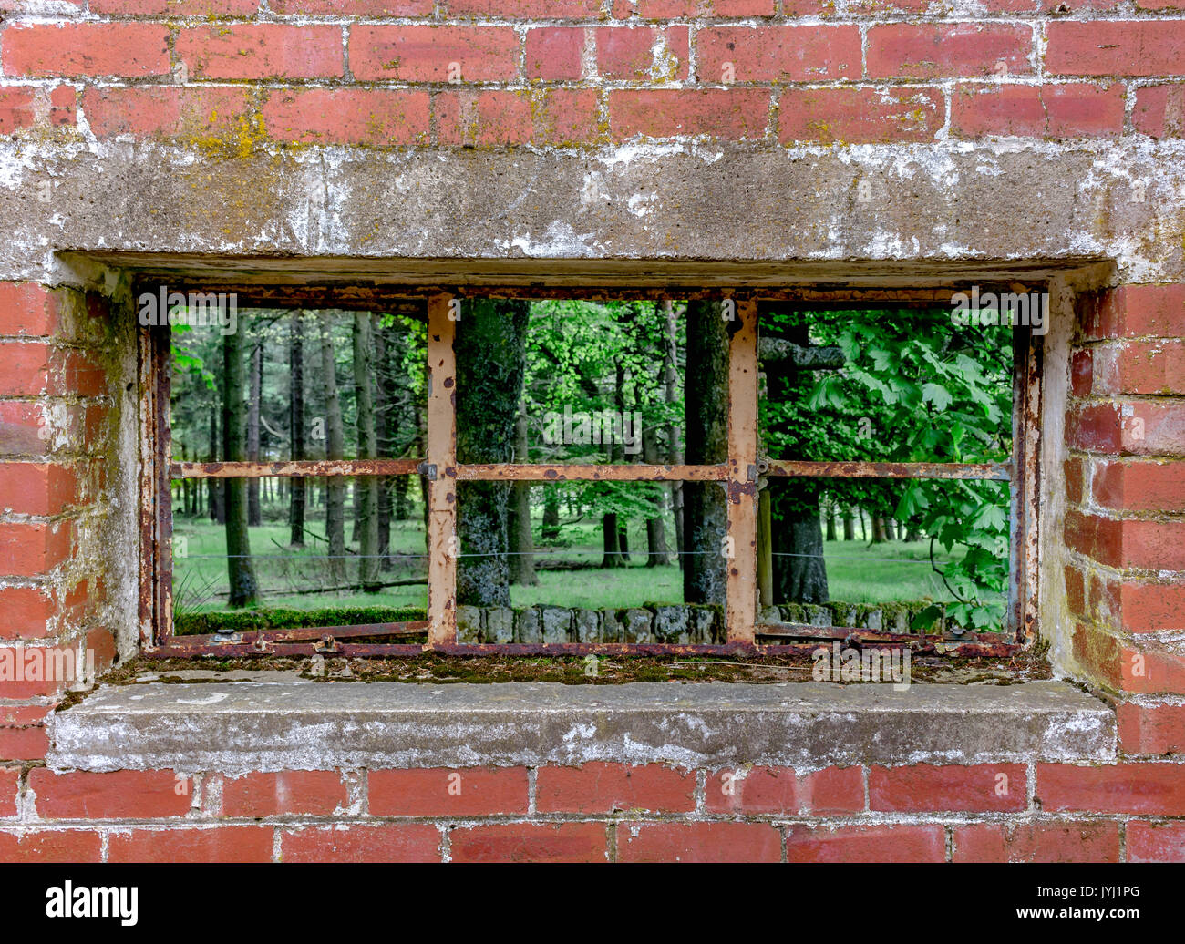 Looking through the window of a derelict building into some green woods ...