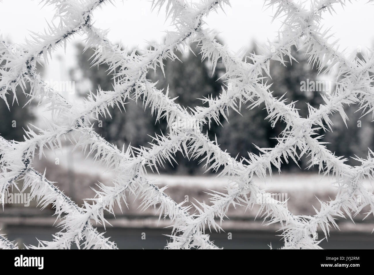 Closeup of chain link fence with Hoar Frost in Norway Stock Photo - Alamy