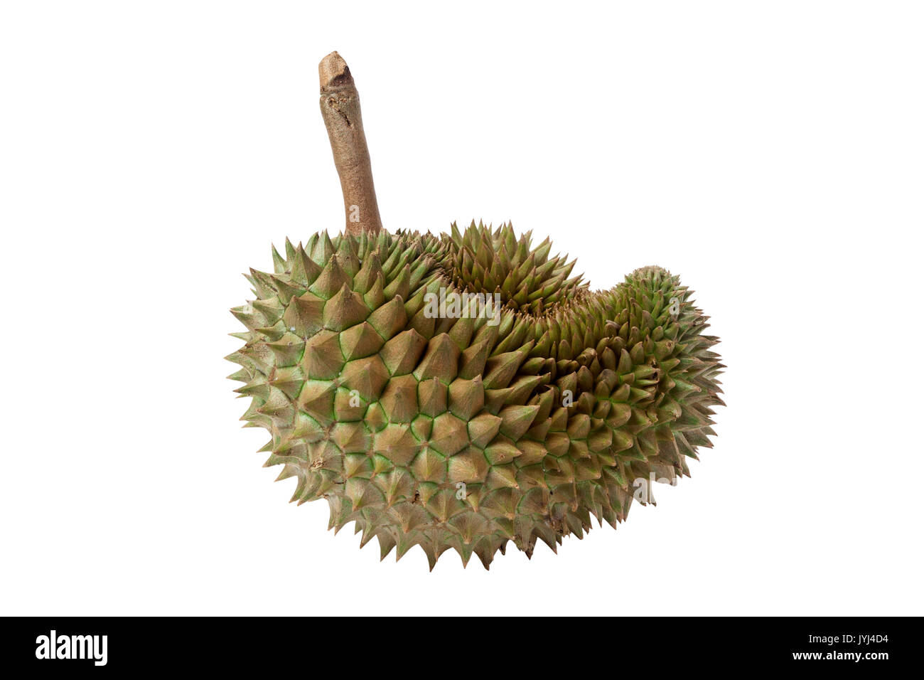 durian is king of fruits isolated on white background. objects with ...