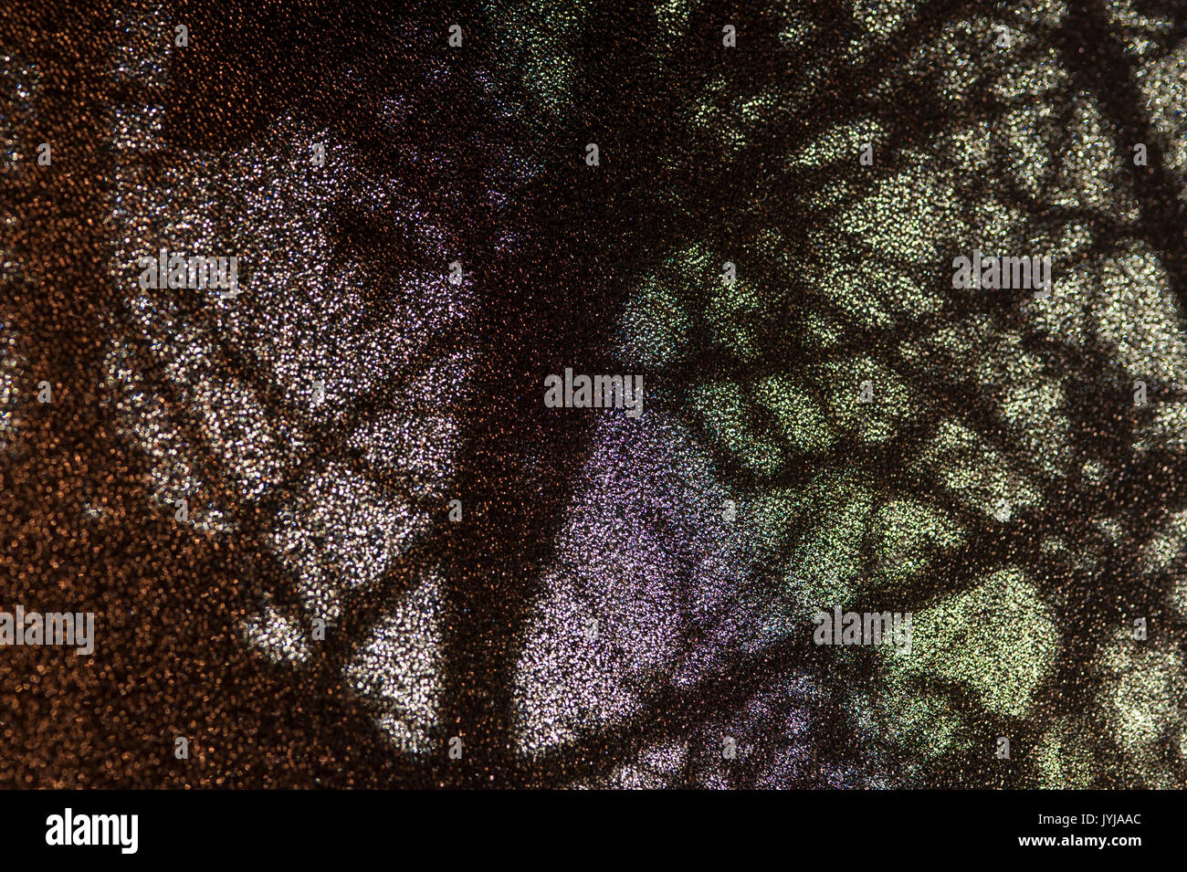 Bathroom window frosted with silhouettes of tree limbs Stock Photo - Alamy