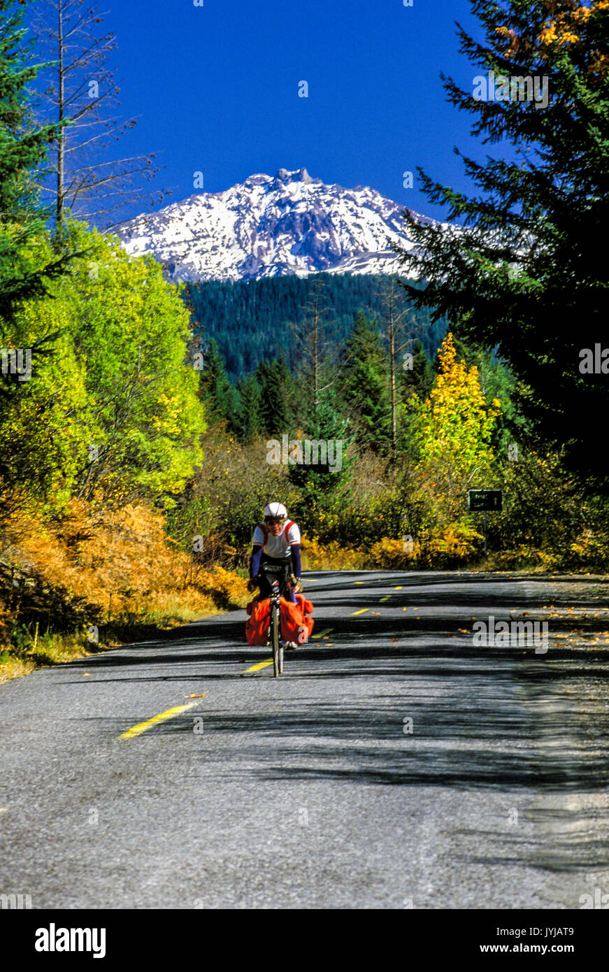 Mountain bicyclist landscape natural surroundings lovely road trees ...