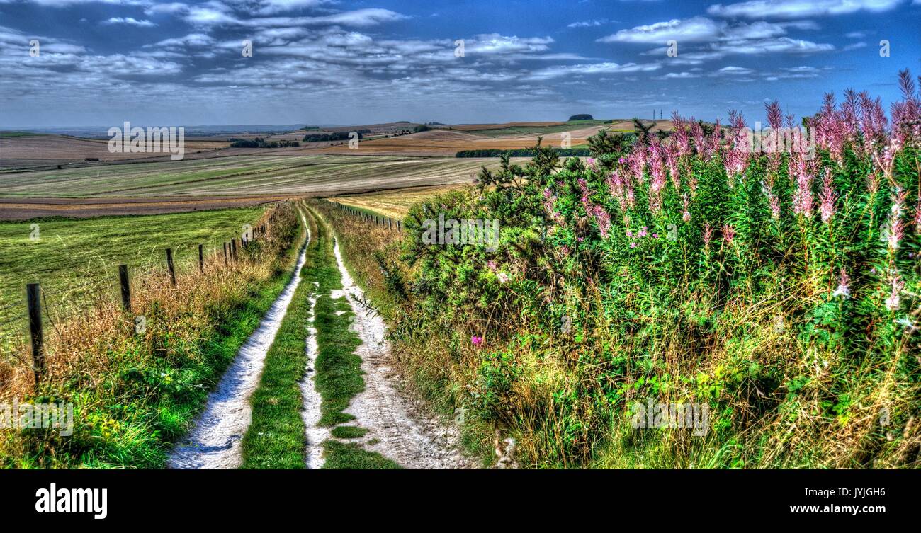 Panorama hdri hi-res stock photography and images - Alamy