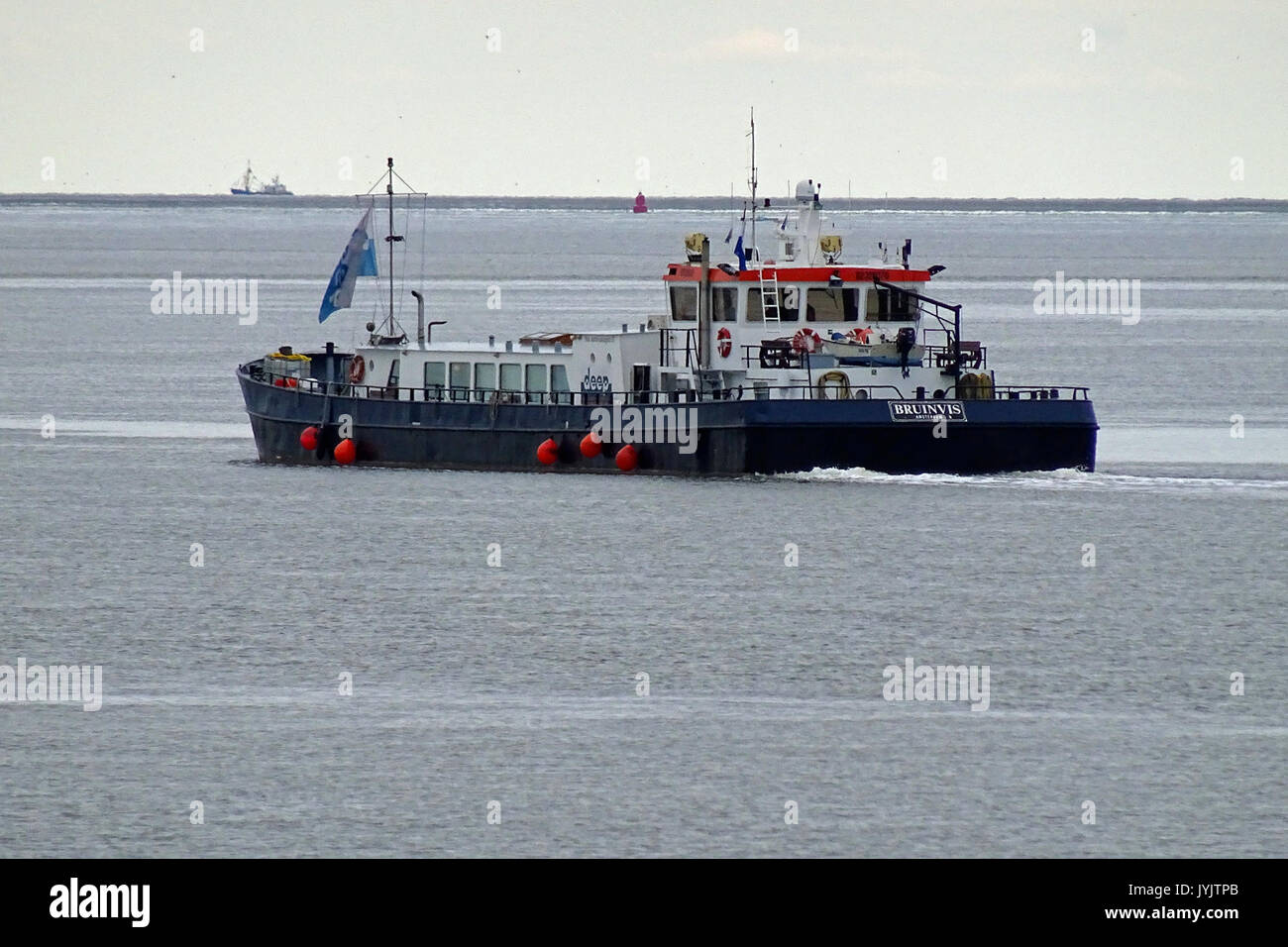 Bruinvis hi-res stock photography and images - Alamy