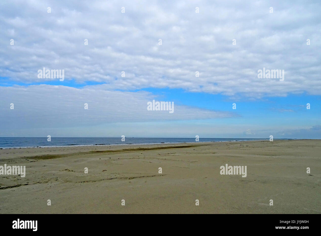 Balg hi-res stock photography and images - Alamy