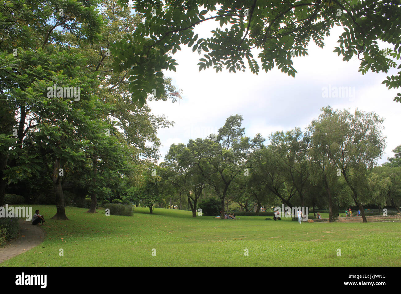 A lawn in Honghu Park2 Stock Photo - Alamy