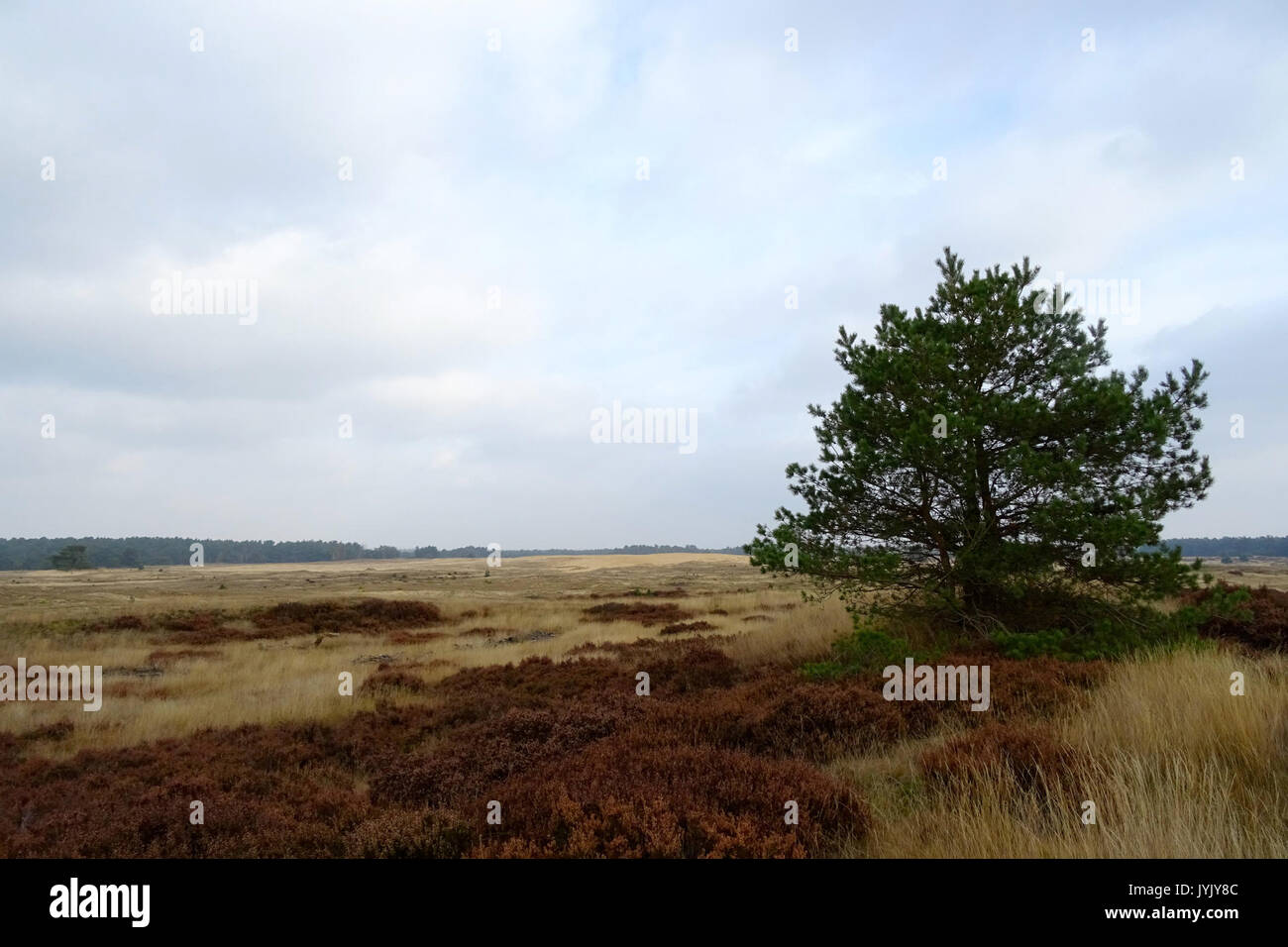 Map of the veluwe hi-res stock photography and images - Alamy