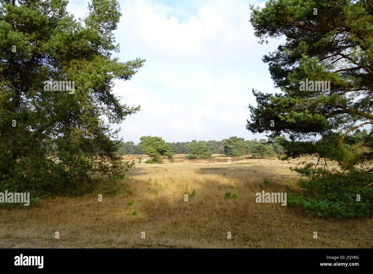 Map of the veluwe hi-res stock photography and images - Alamy