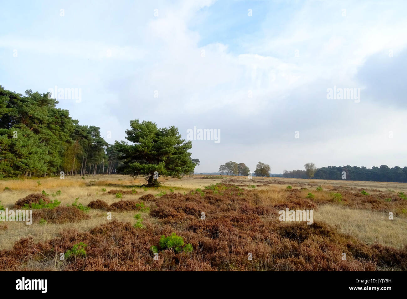 Map of the veluwe hi-res stock photography and images - Alamy