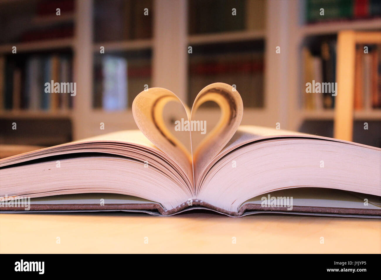 Map readers hi-res stock photography and images - Alamy