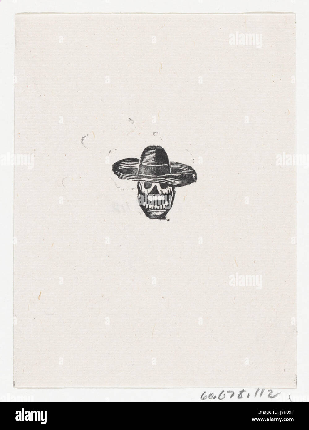 Wide skull hi-res stock photography and images - Alamy