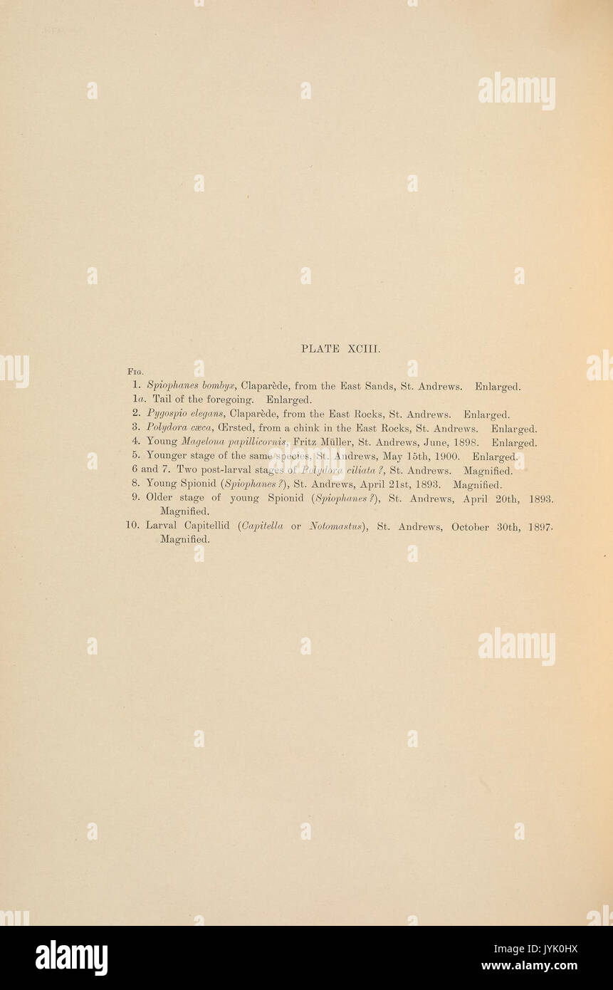 A monograph of the British marine annelids 1915 XCIIItext Stock Photo ...