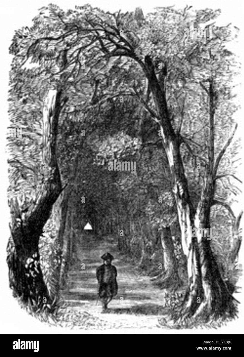 Walk university Black and White Stock Photos & Images - Alamy