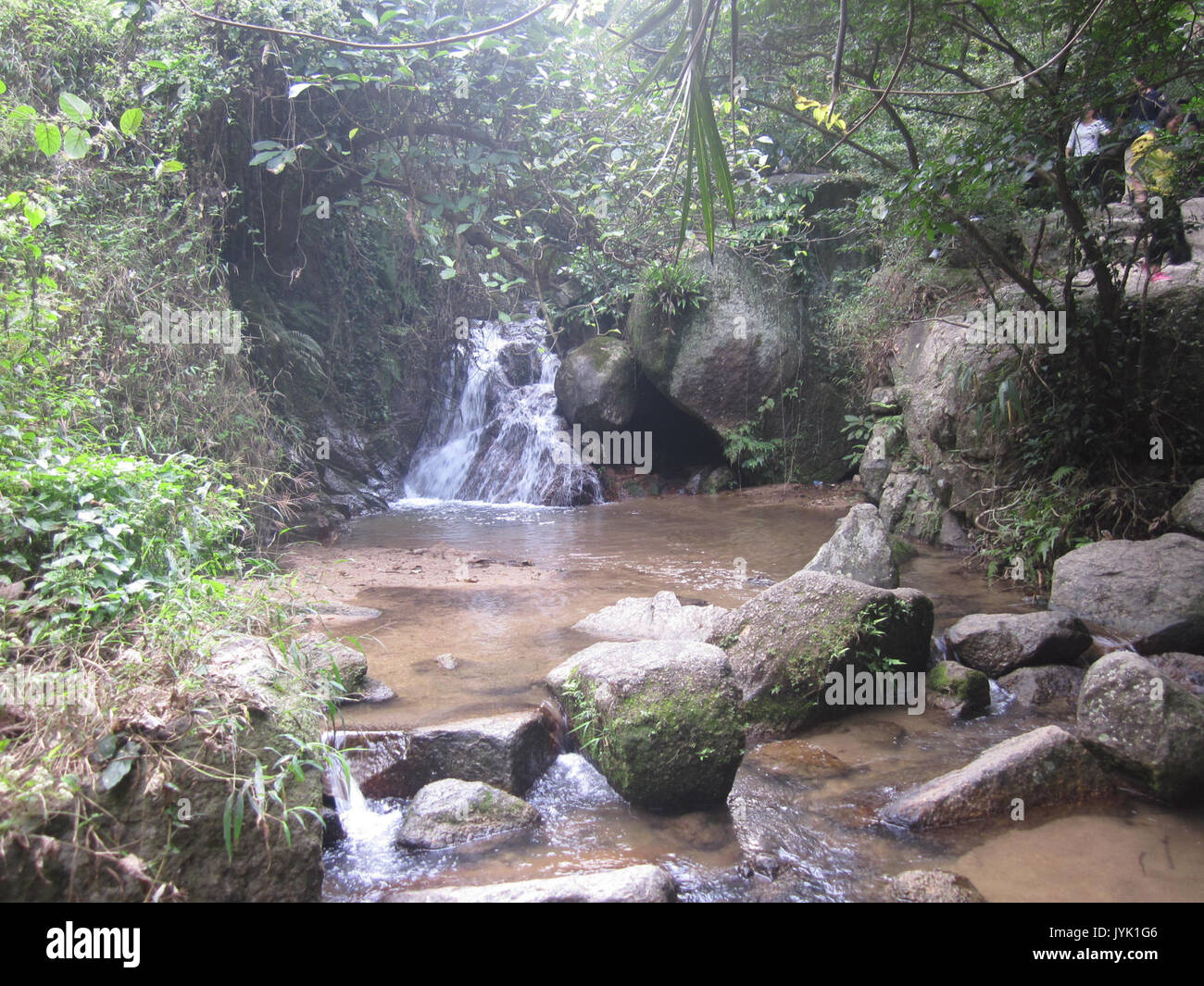 Natural brook watercourse hi-res stock photography and images - Alamy