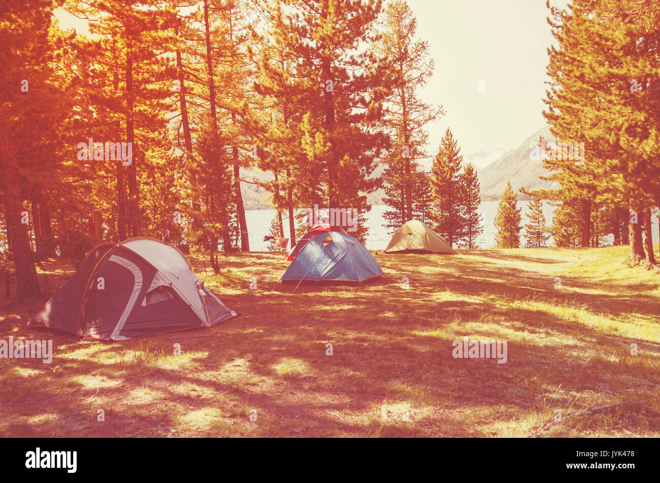 View of tent on meadow in forest at sunrise. Camping background ...