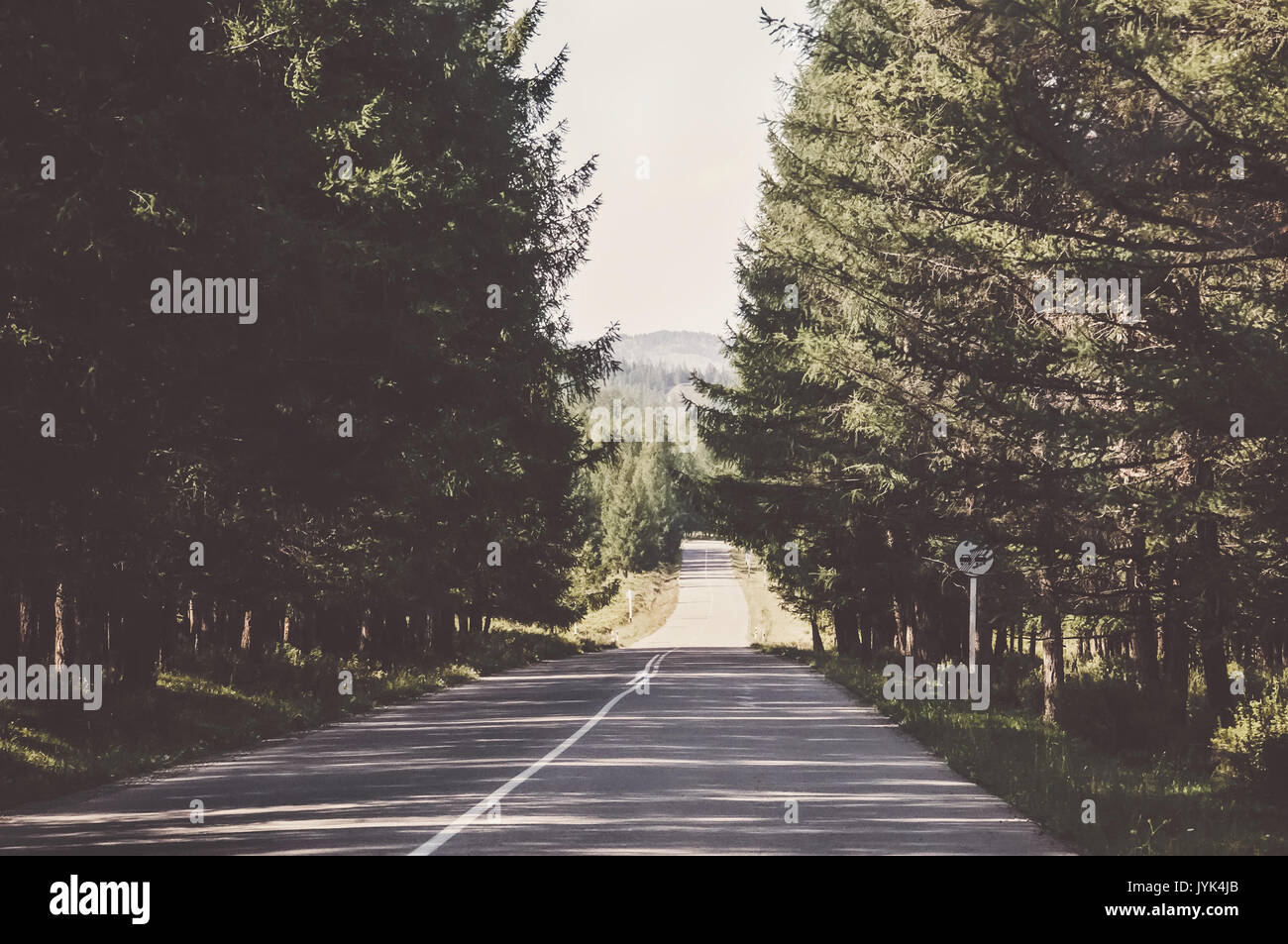 Spring view from car window hi-res stock photography and images - Alamy